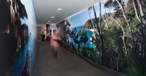 Christchurch Airport’s Sensory Arrivals Experience - Future Travel ...